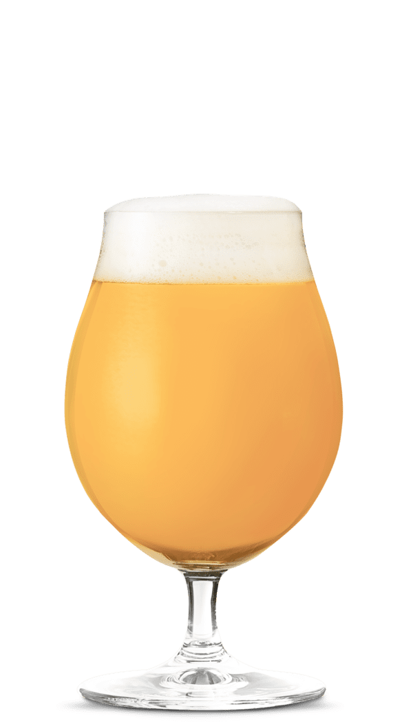 AlphaGator - Abita Beer