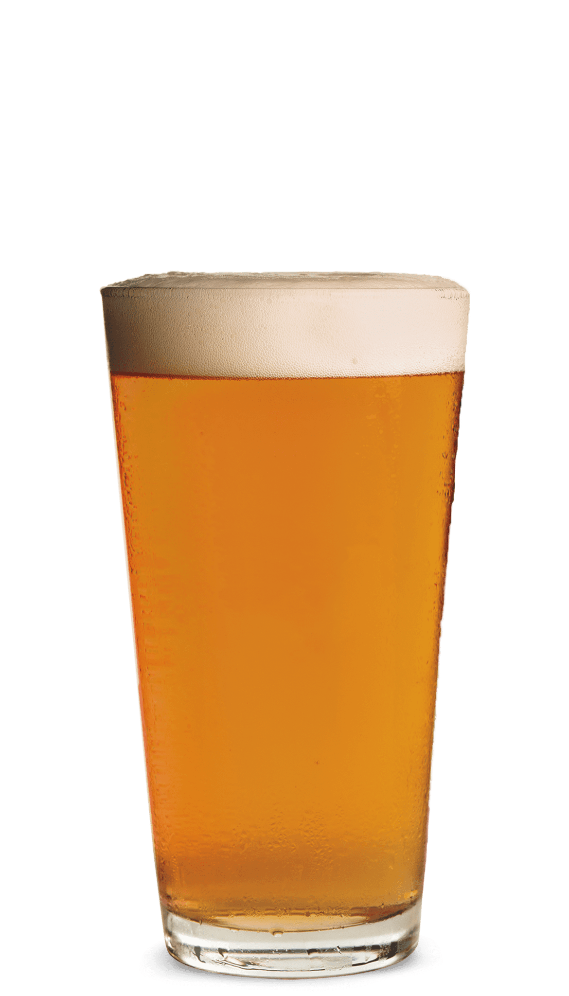 Root Beer - Abita Beer