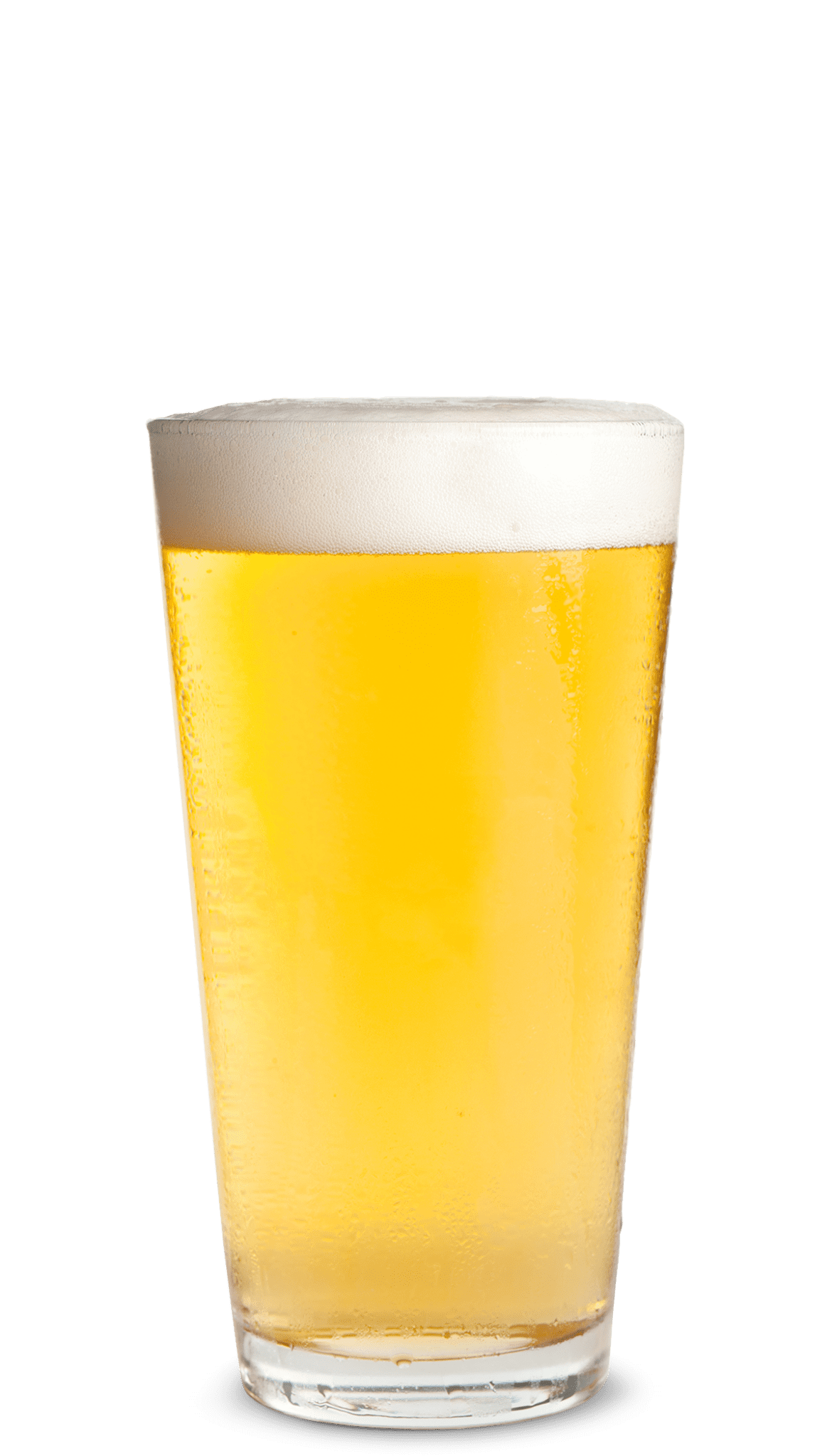 Beeracuda - Abita Beer