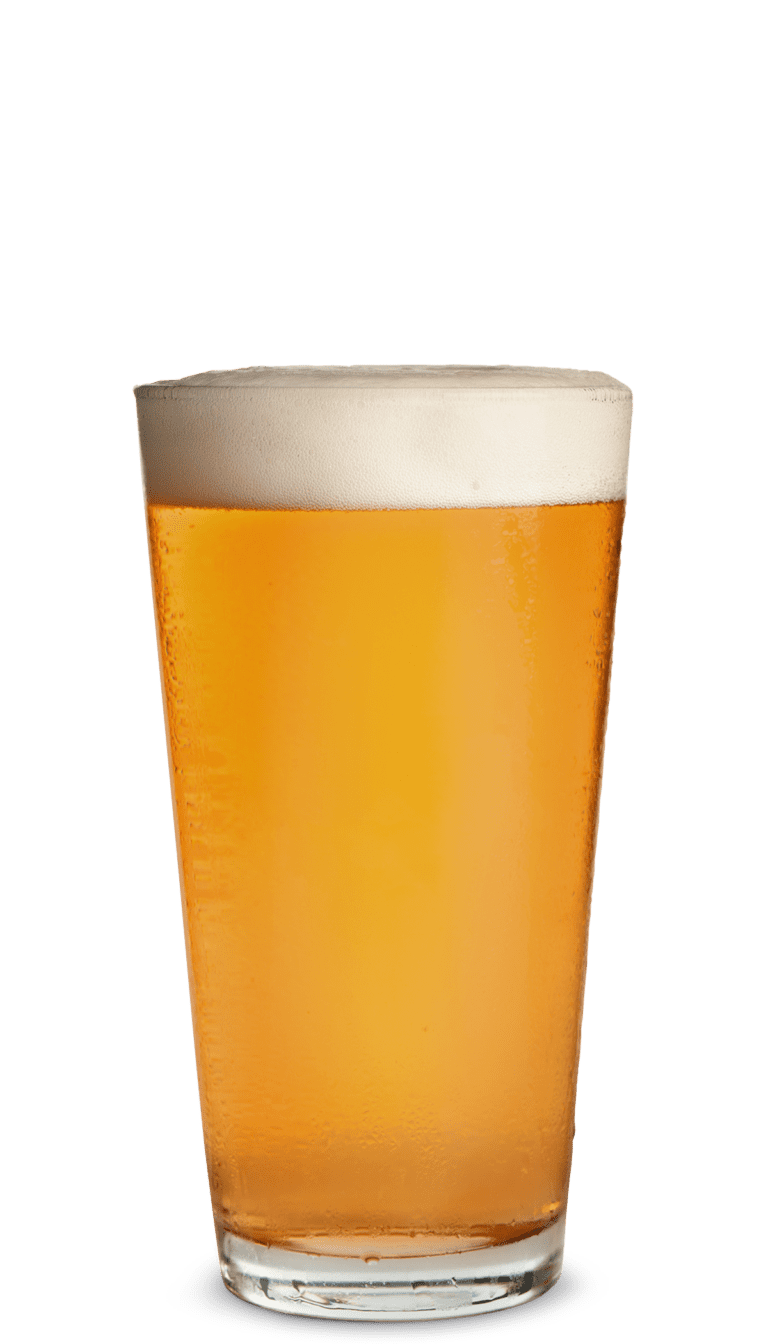 Our Brews - Abita Beer