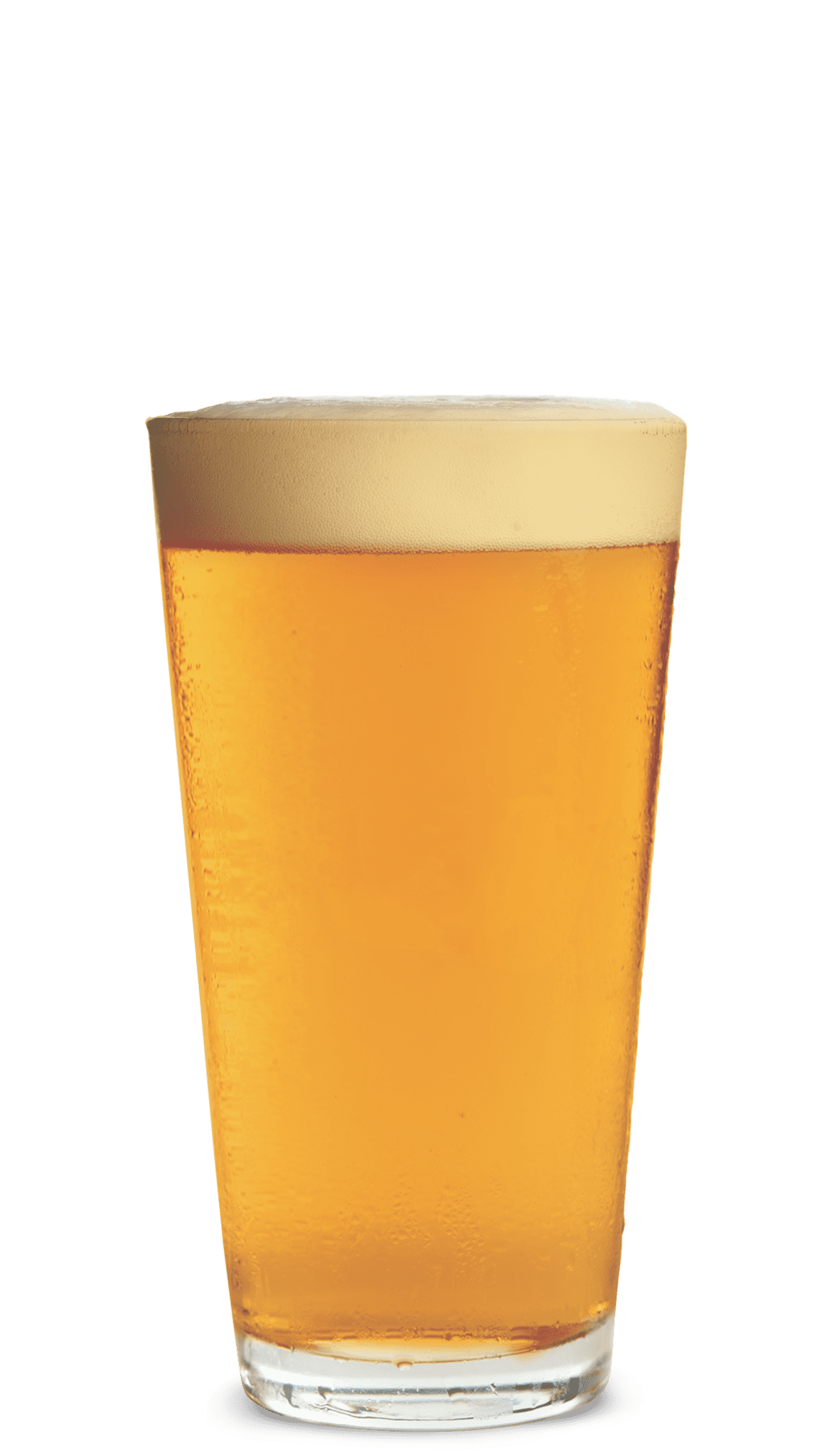 Our Brews - Abita Beer