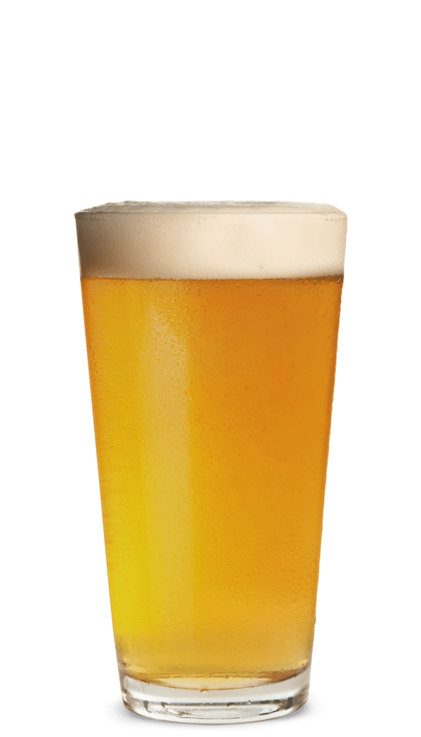 Abita Brewing Company | Louisiana Based Brewery